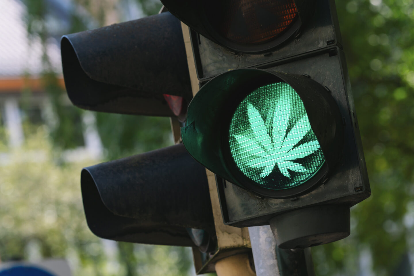 Medicinal Cannabis & Drug Driving Law Questions Answered - Vivace Health